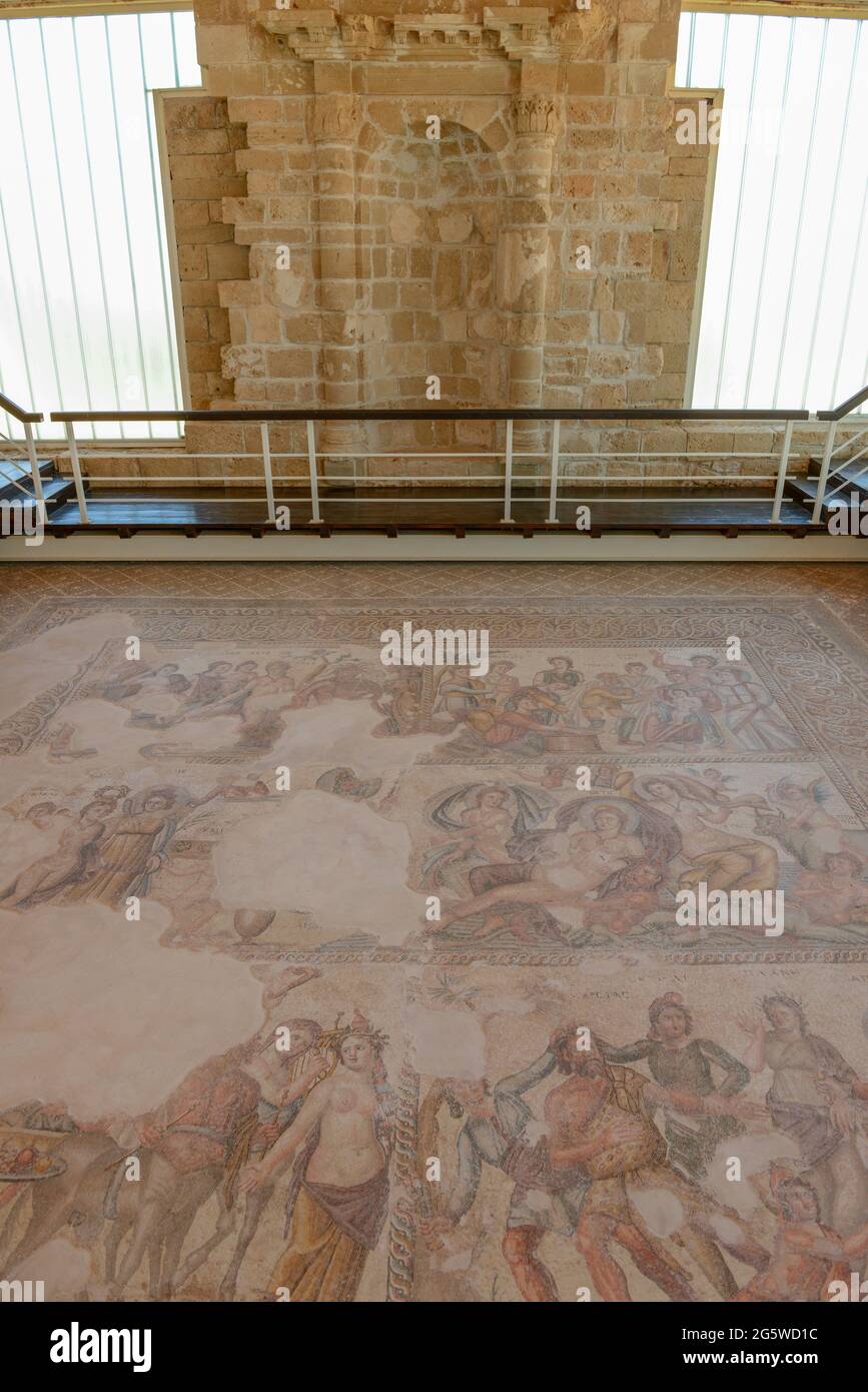 The roman mosaics at house of Dionysos at Nea Paphos archaeological ...