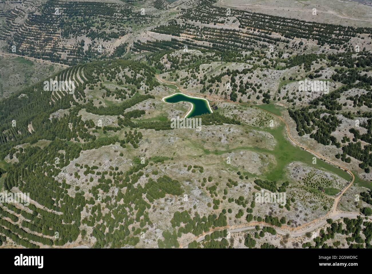 Shouf Biosphere Natural Reserve in the summer Stock Photo - Alamy