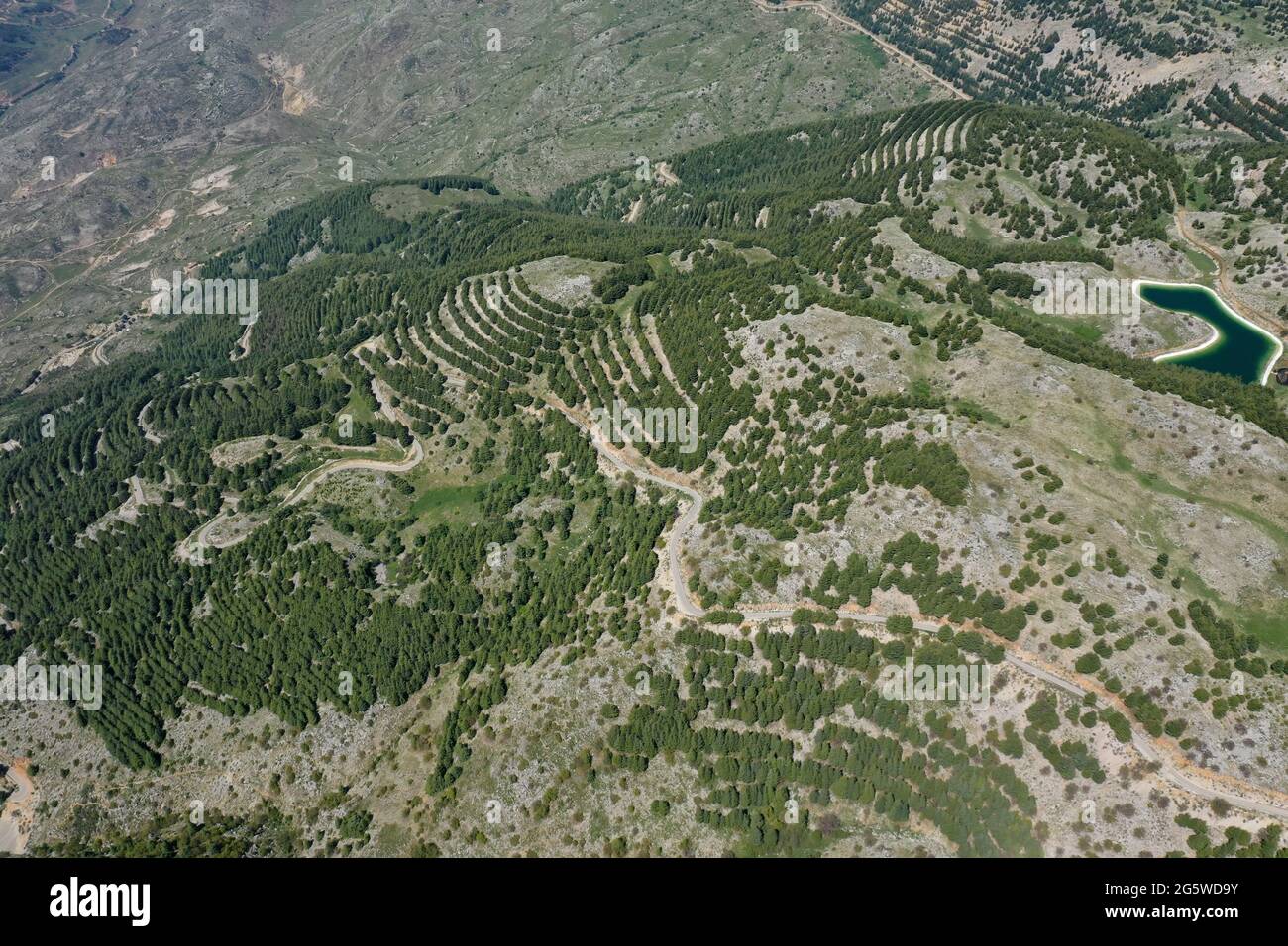 Shouf Biosphere Natural Reserve in the summer Stock Photo - Alamy