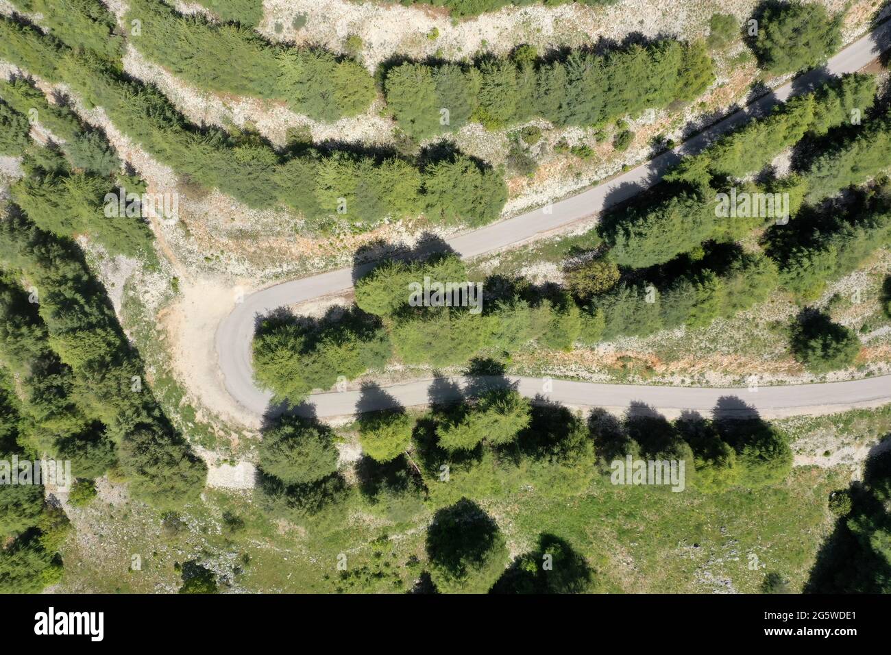 Shouf Biosphere Natural Reserve in the summer Stock Photo - Alamy