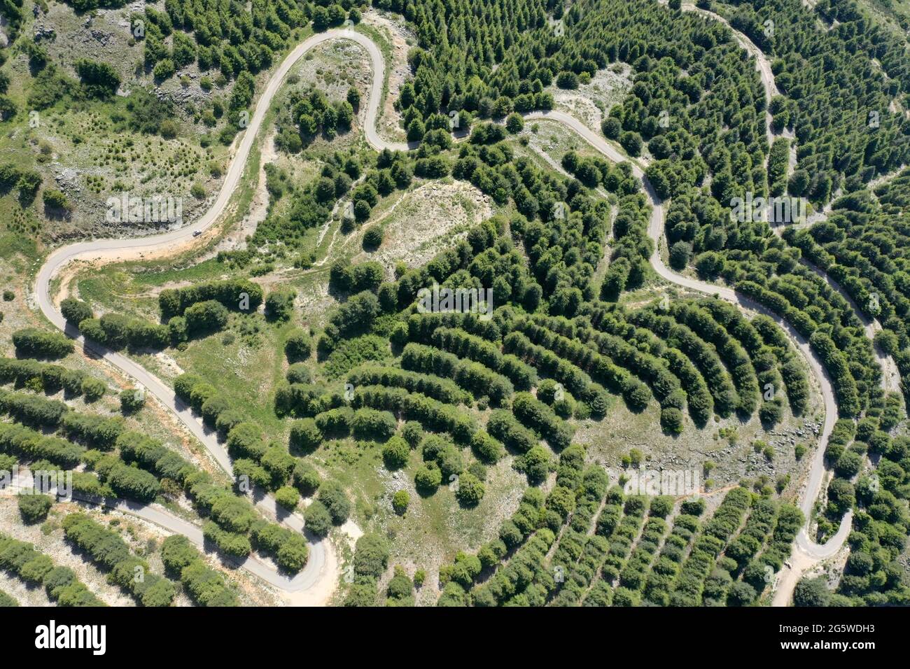 Shouf Biosphere Natural Reserve in the summer Stock Photo - Alamy
