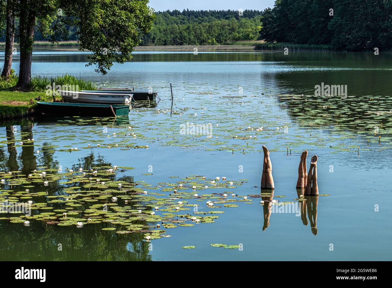 Water Ballet sculpture by artist Walter Mangold in Oberpfuhl Lake ...