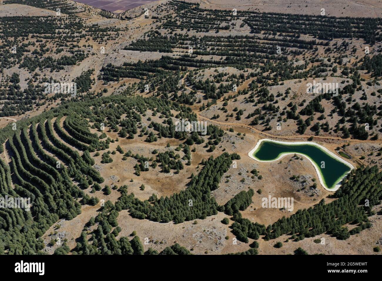 Shouf biosphere reserve hi-res stock photography and images - Alamy