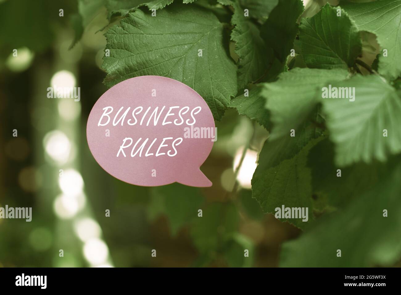 Hand writing sign Business Rules. Business concept the principles which ...