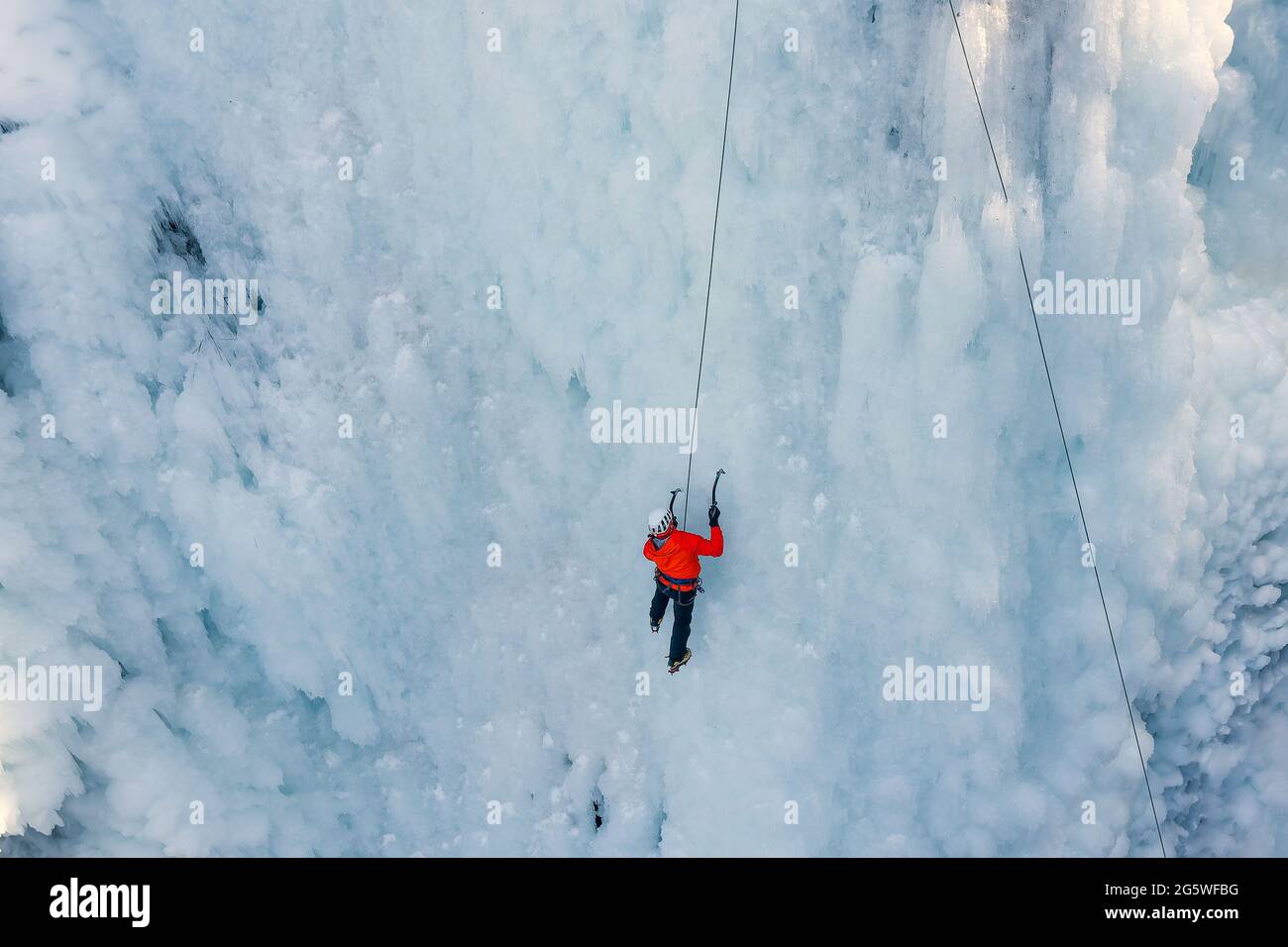 Athlete climbing cliff covered with ice, using ice axes, and piercing ...