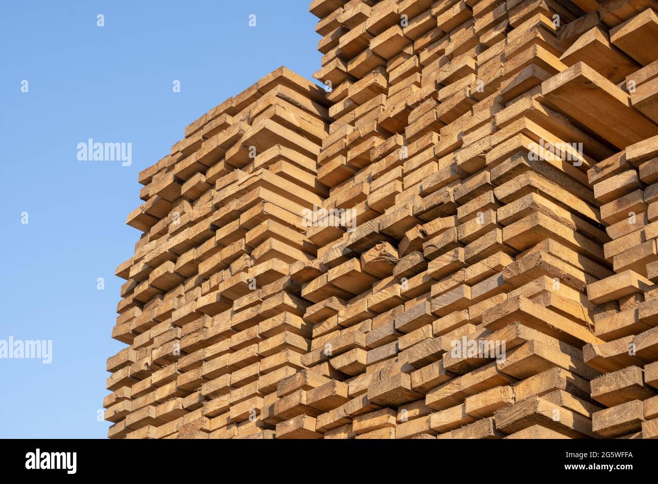 Pine wood timber stack of natural rough wooden boards on building site ...