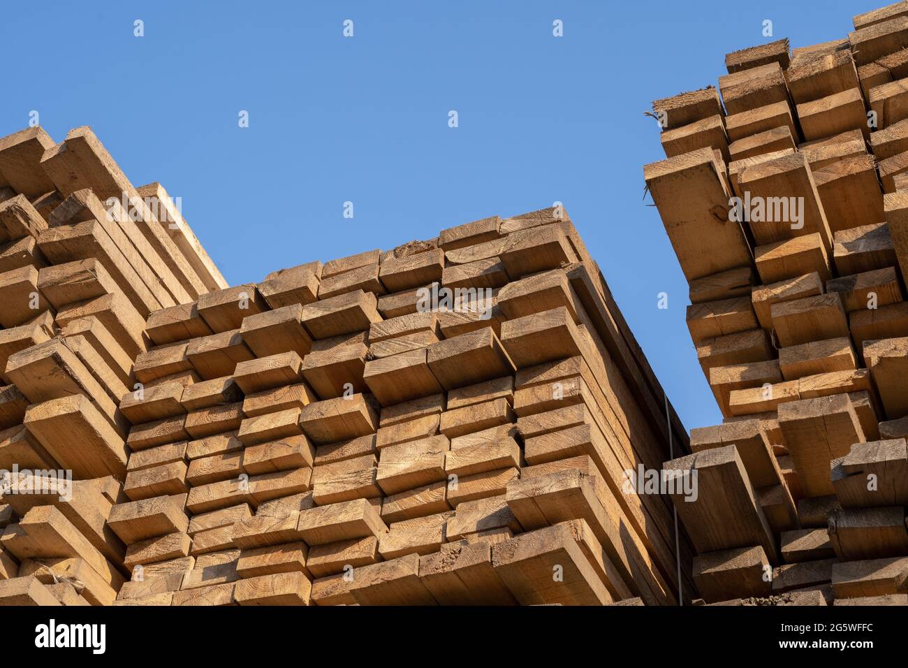 Pine wood timber stack of natural rough wooden boards on building site ...