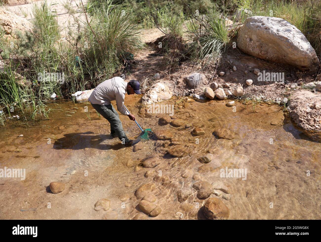 Fifa nature reserve hi-res stock photography and images - Alamy
