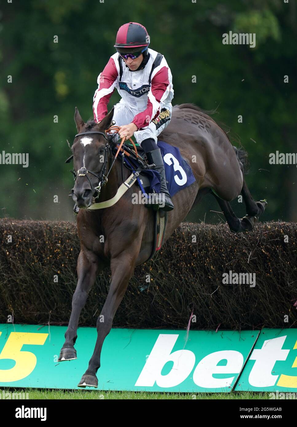 Gavin pike hi-res stock photography and images - Alamy