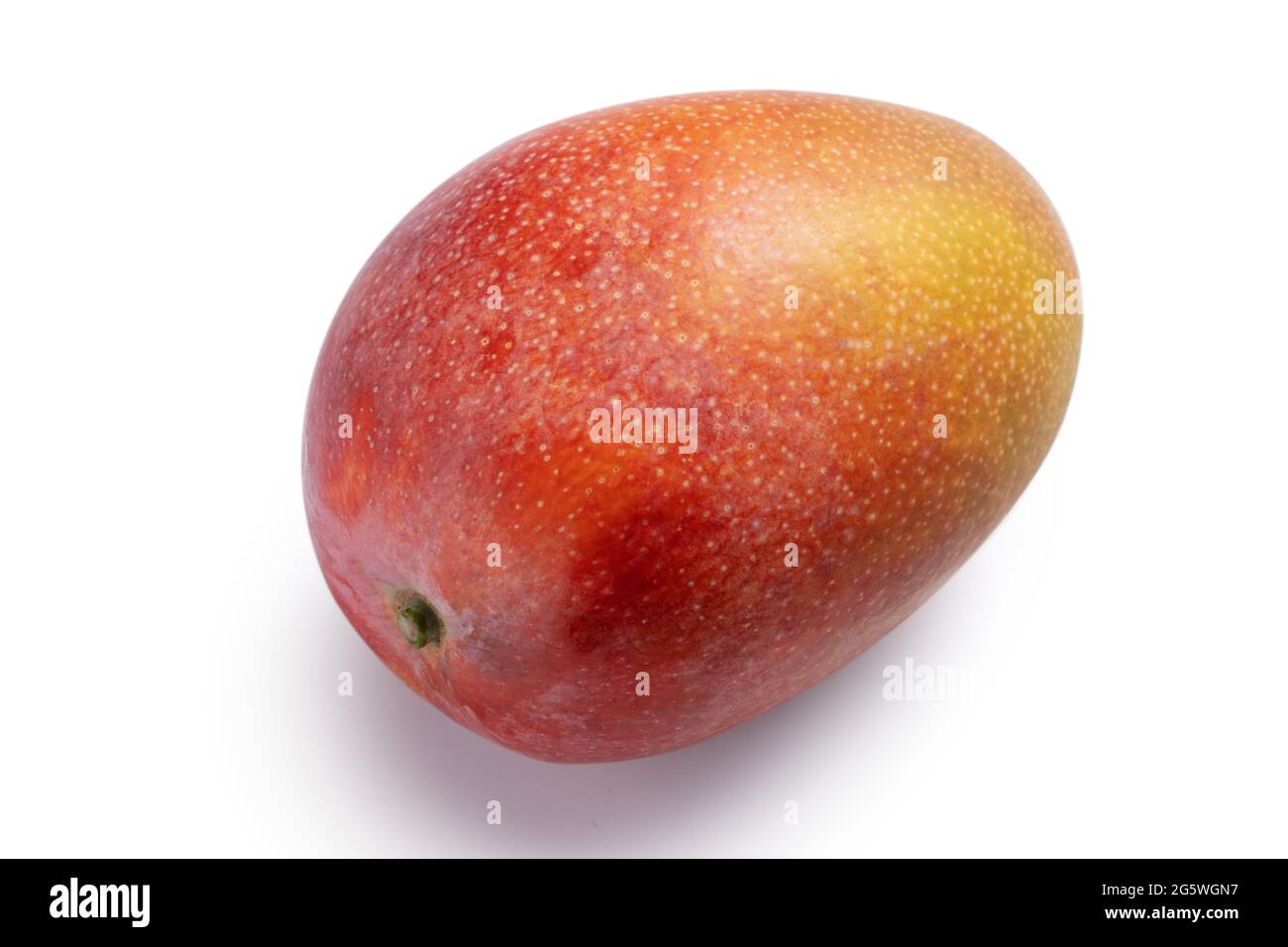 Close up of beautiful delicious ripe mango isolated on white table ...