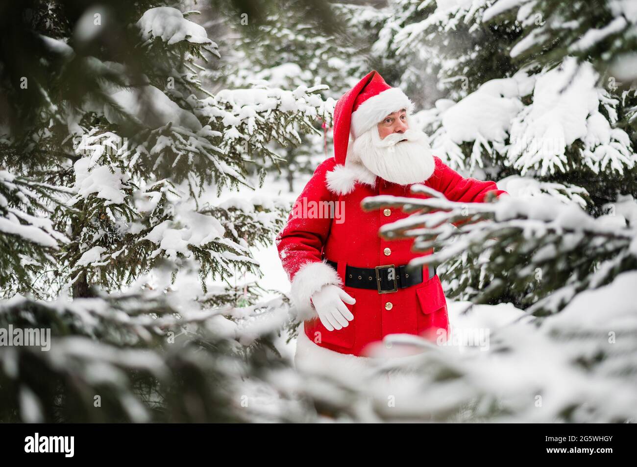 Santa walk through snow hi-res stock photography and images - Alamy