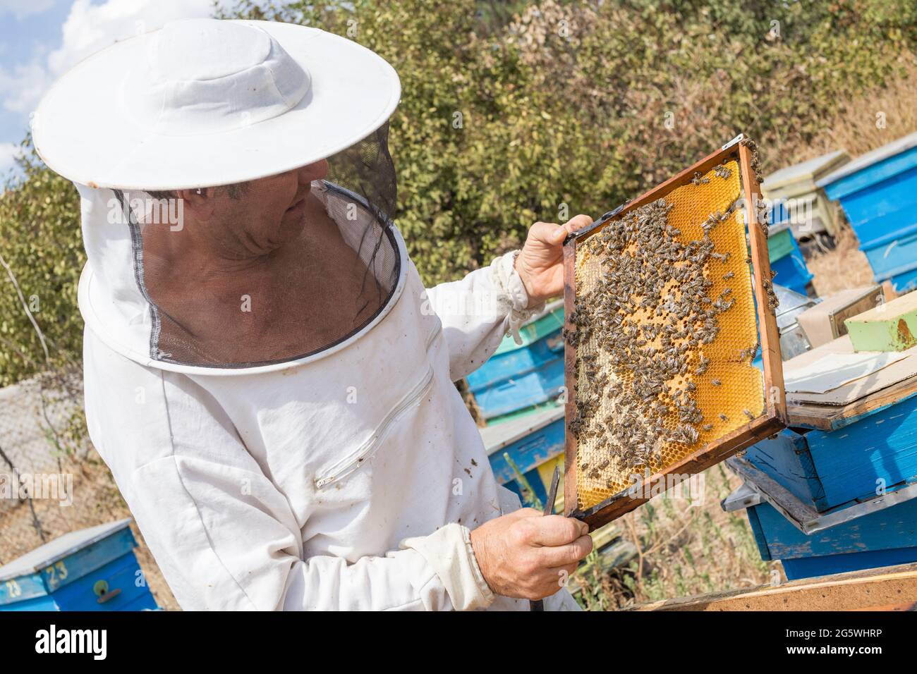 Beekeeper masks hi-res stock photography and images - Alamy