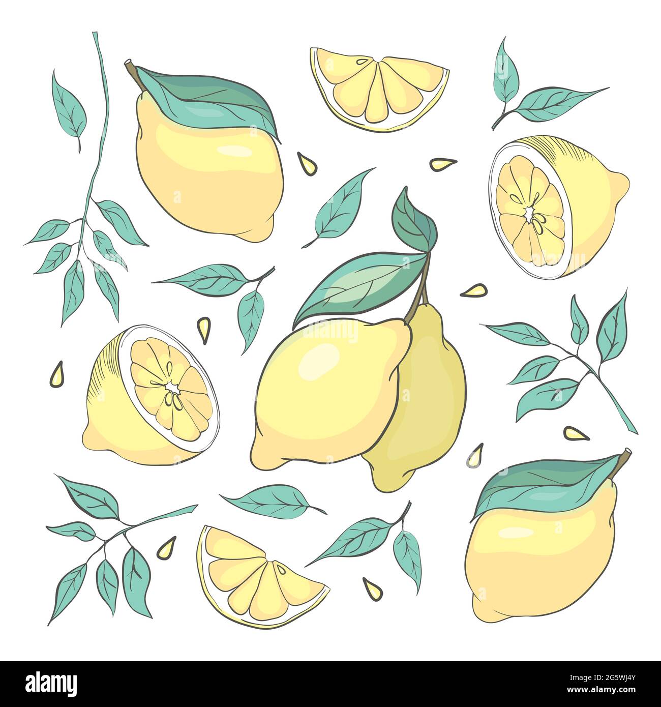 set of isolated sketched lemons and leaves for posters, logos, product ...
