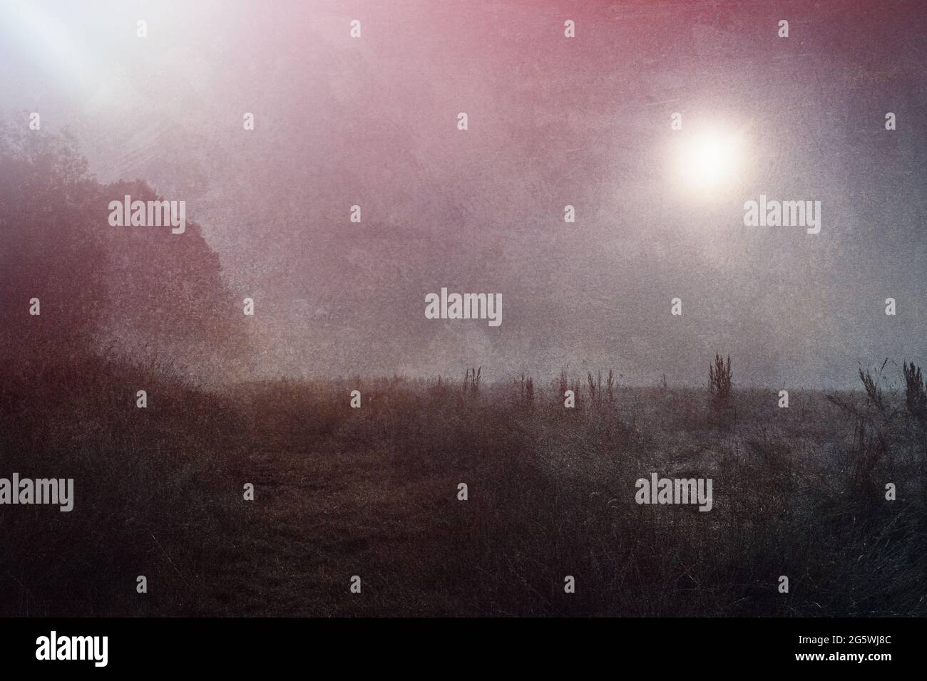 A moody horror concept, of a field with at glowing mysterious light. On ...