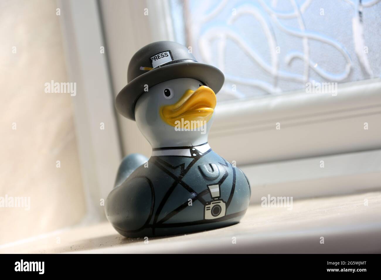 Plastic Duck on bathroom window sill dressed as a press photographer ...