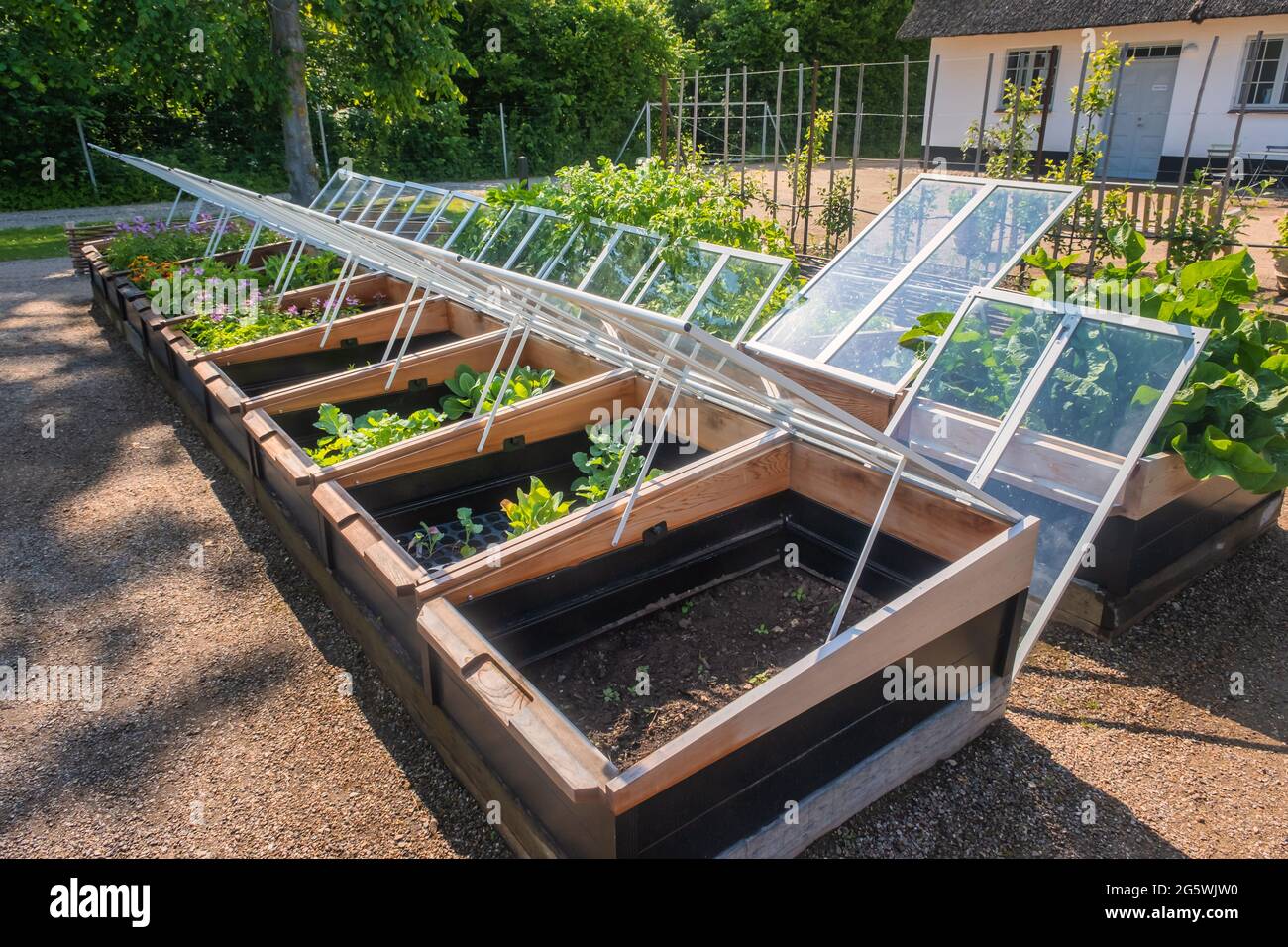 Vegetable garden at the royal Danish queens castle in Graasten, Denmark ...