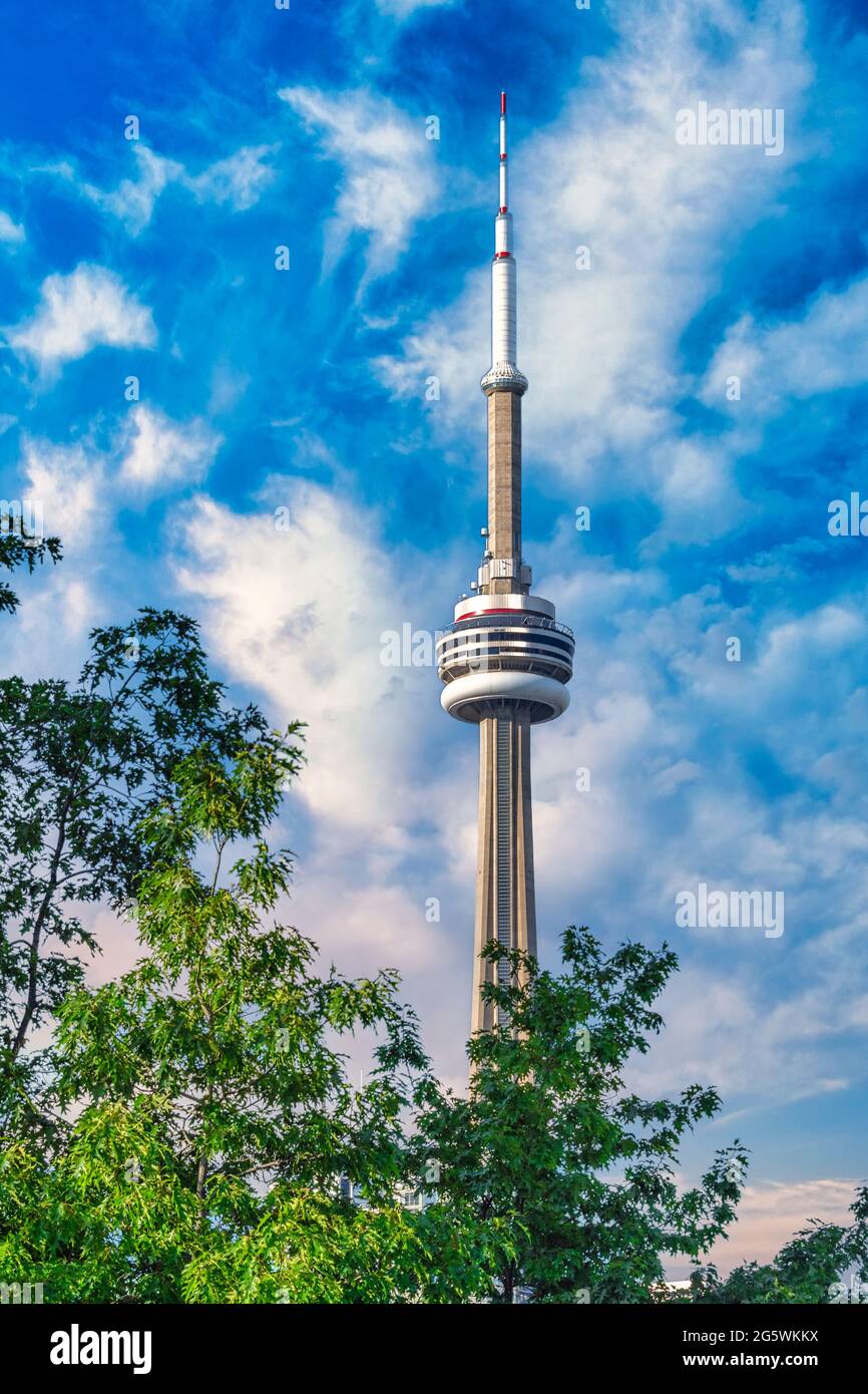 Toronto tree tower hi-res stock photography and images - Alamy
