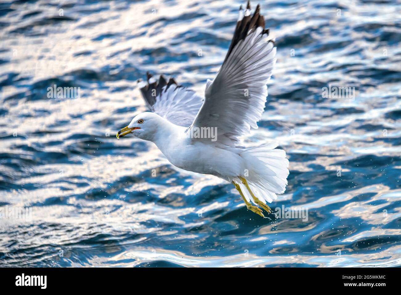 Flying scenes hi-res stock photography and images - Alamy