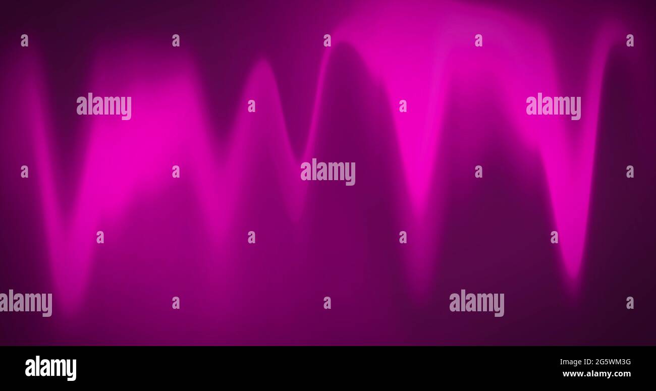 Digital image of purple heart rate monitor waves on black background ...
