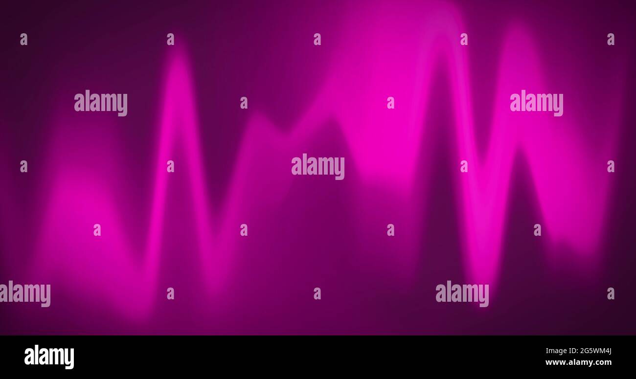 Digital image of purple heart rate monitor waves on black background ...