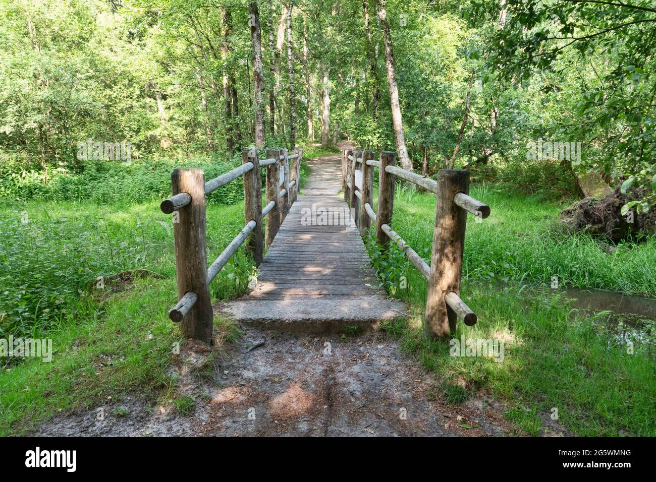 Woodm hi-res stock photography and images - Alamy