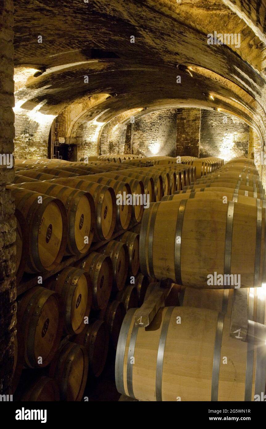 Italy, Piemonte, Alba, Pio Cesare estate, the ancient cellar. Built at ...