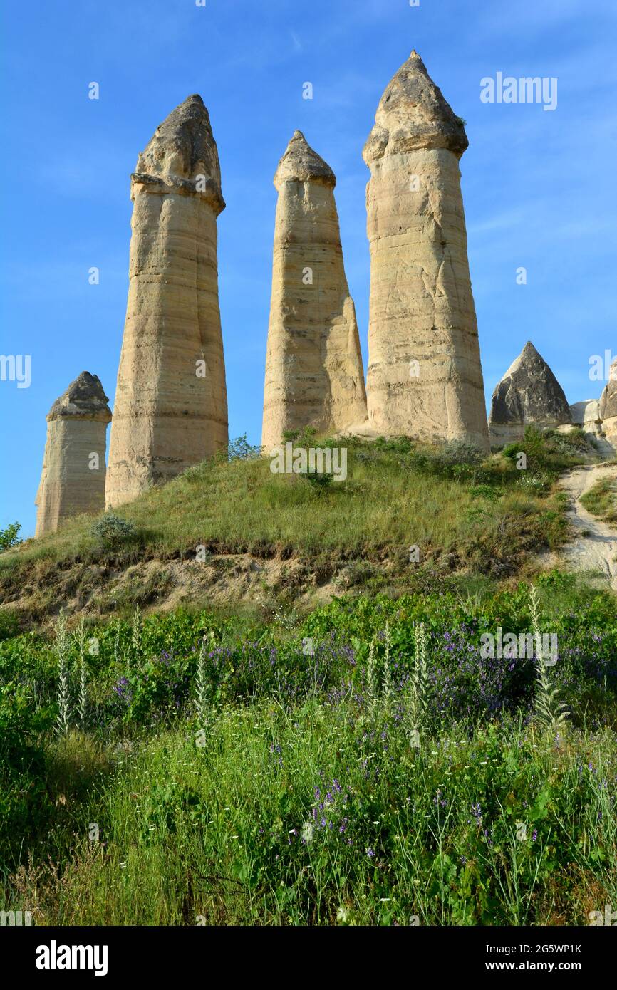 TURKEY. CAPPADOCIA. NEAR GOREME, THE LOVE VALLEY IS NAMED AFTER THE ...