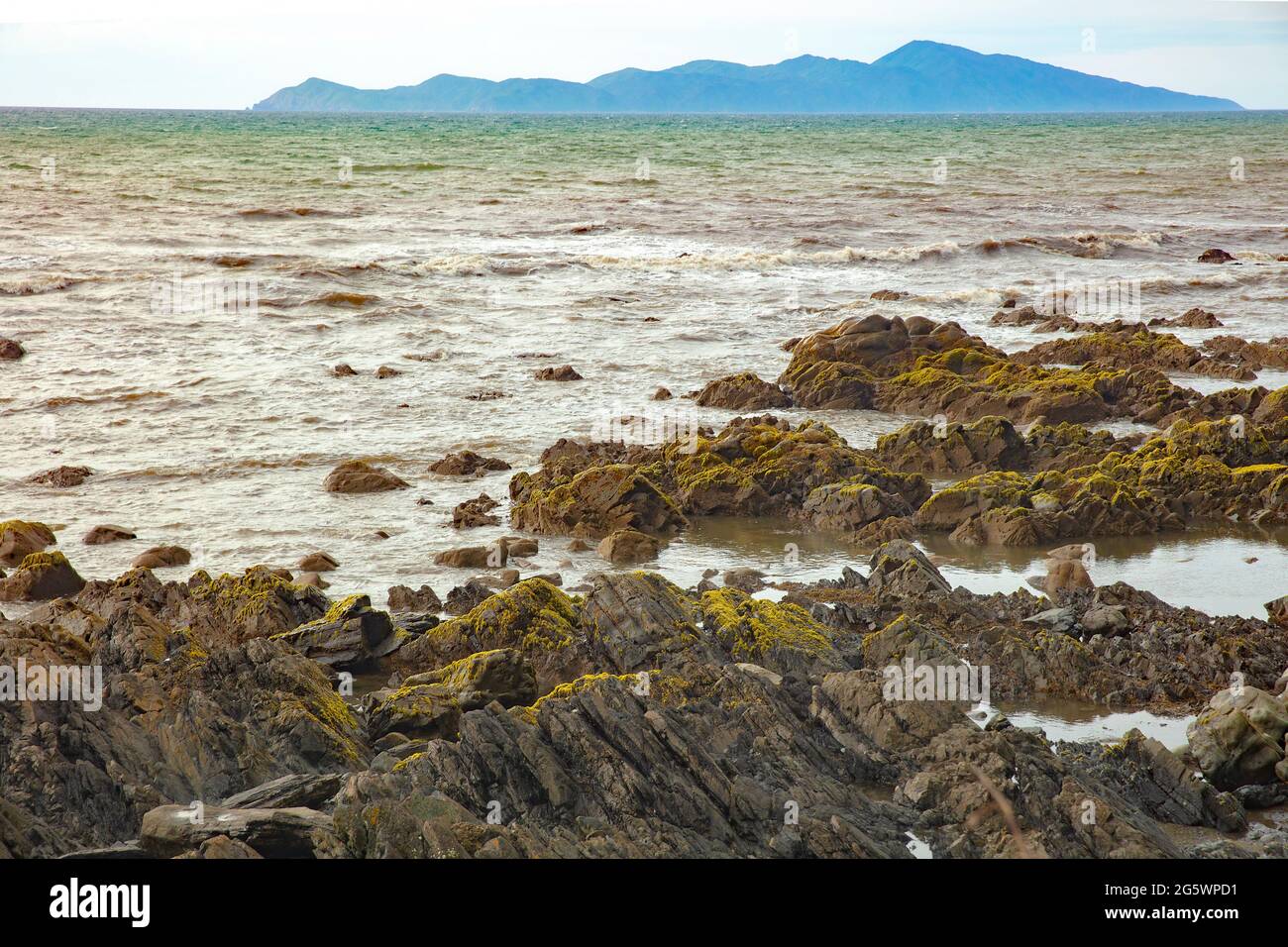 Kapiti island hi-res stock photography and images - Alamy