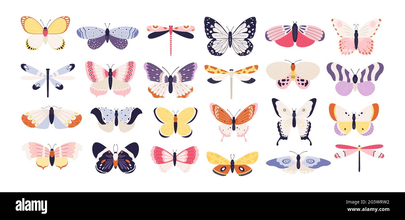 Monarch Butterfly Clipart Spring