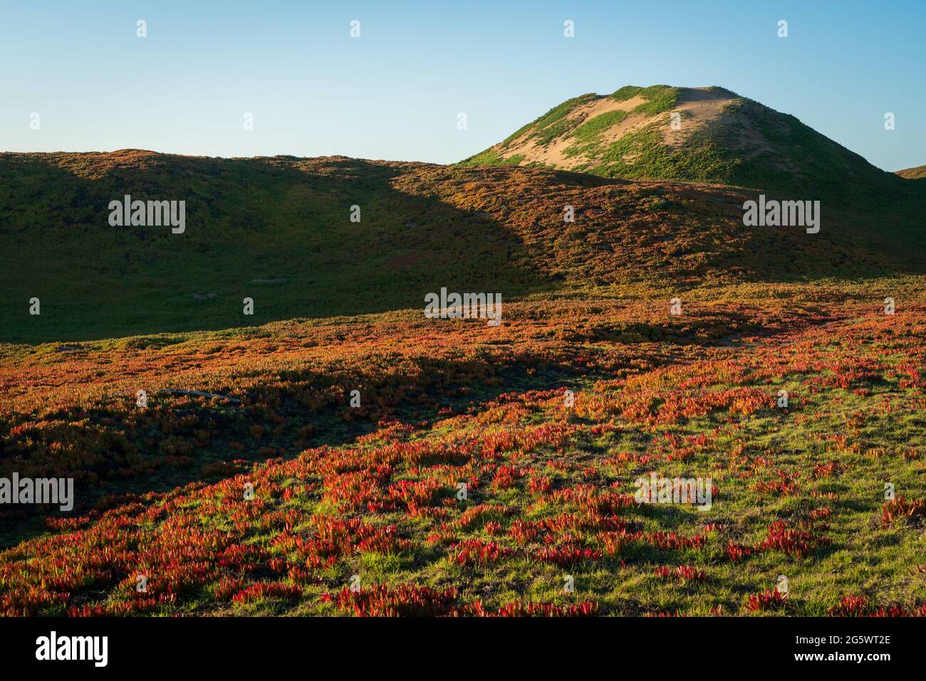 Fort ord dunes state park california hi-res stock photography and ...