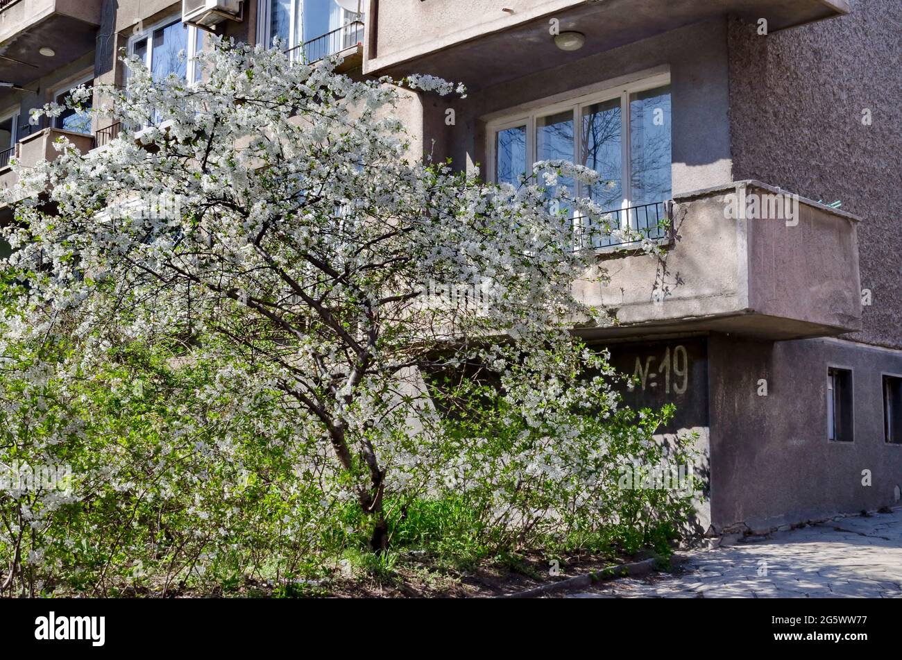 Residential area background hi-res stock photography and images - Alamy