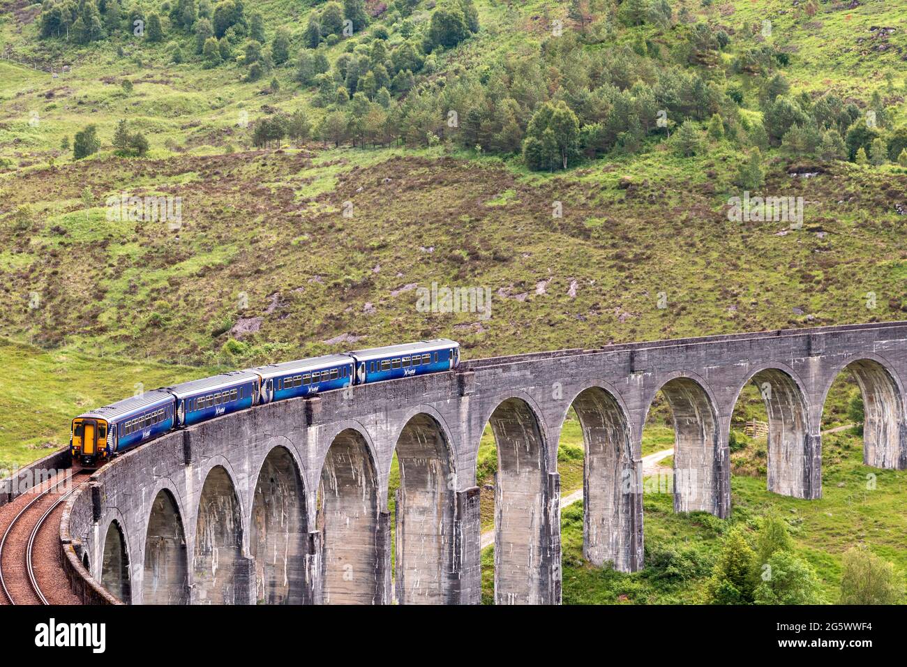 SCOTRAIL DIESEL TRAIN GLENFINNAN VIADUCT SCOTLAND THE BLUE TRAIN OF ...