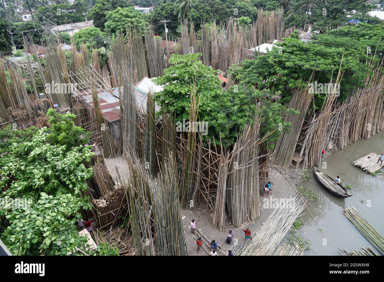 Bamboo sticks are seen on a Bamboo market in Bangladesh, on 30 June ...