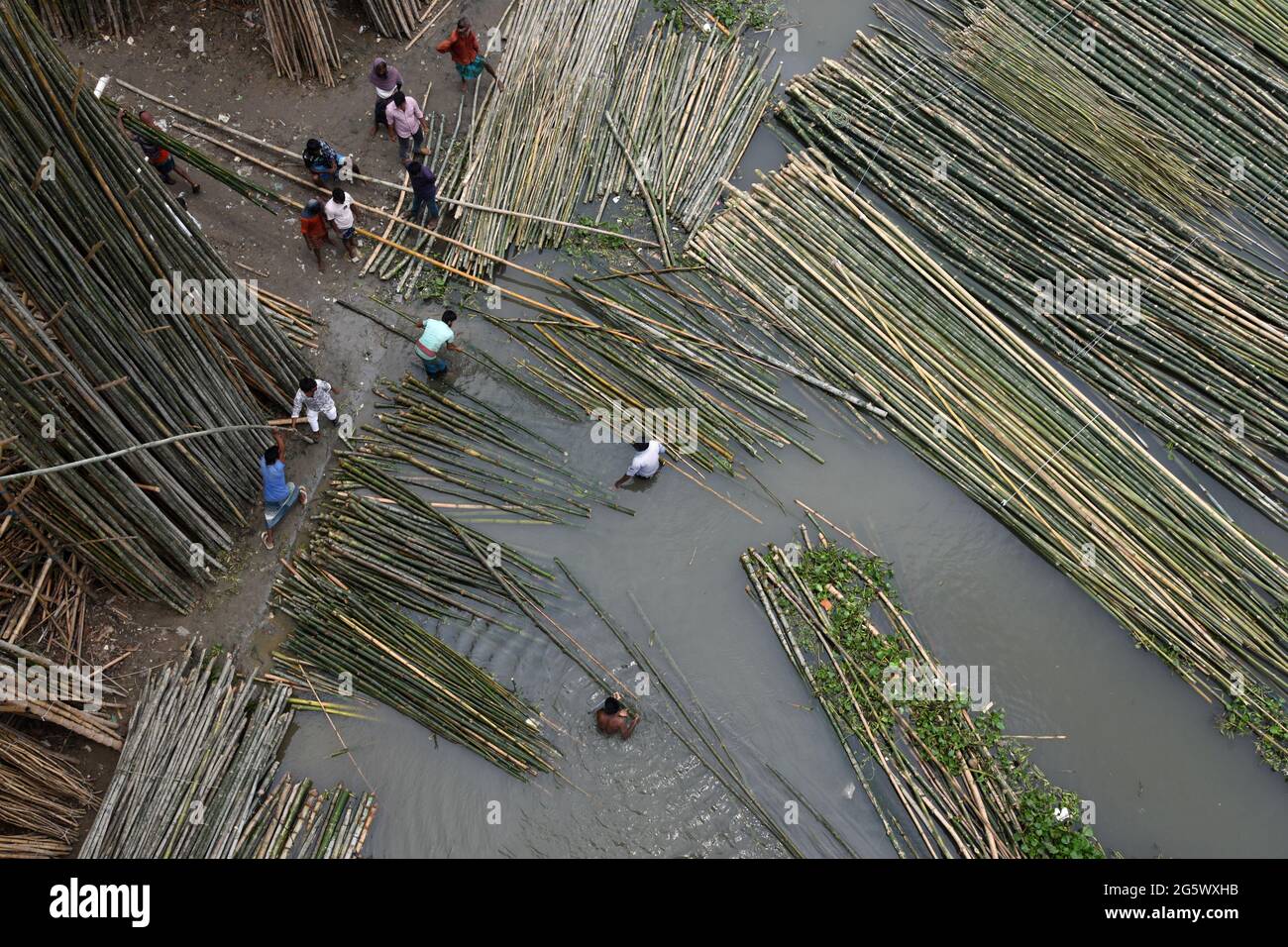 Bamboo sticks are seen on a Bamboo market in Bangladesh, on 30 June ...