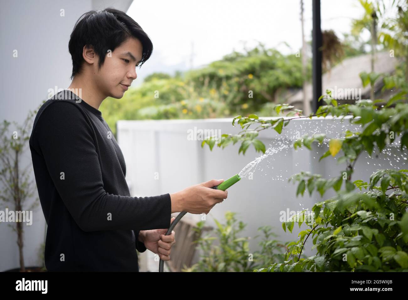 Hand garden hose watering trees hi-res stock photography and images - Alamy