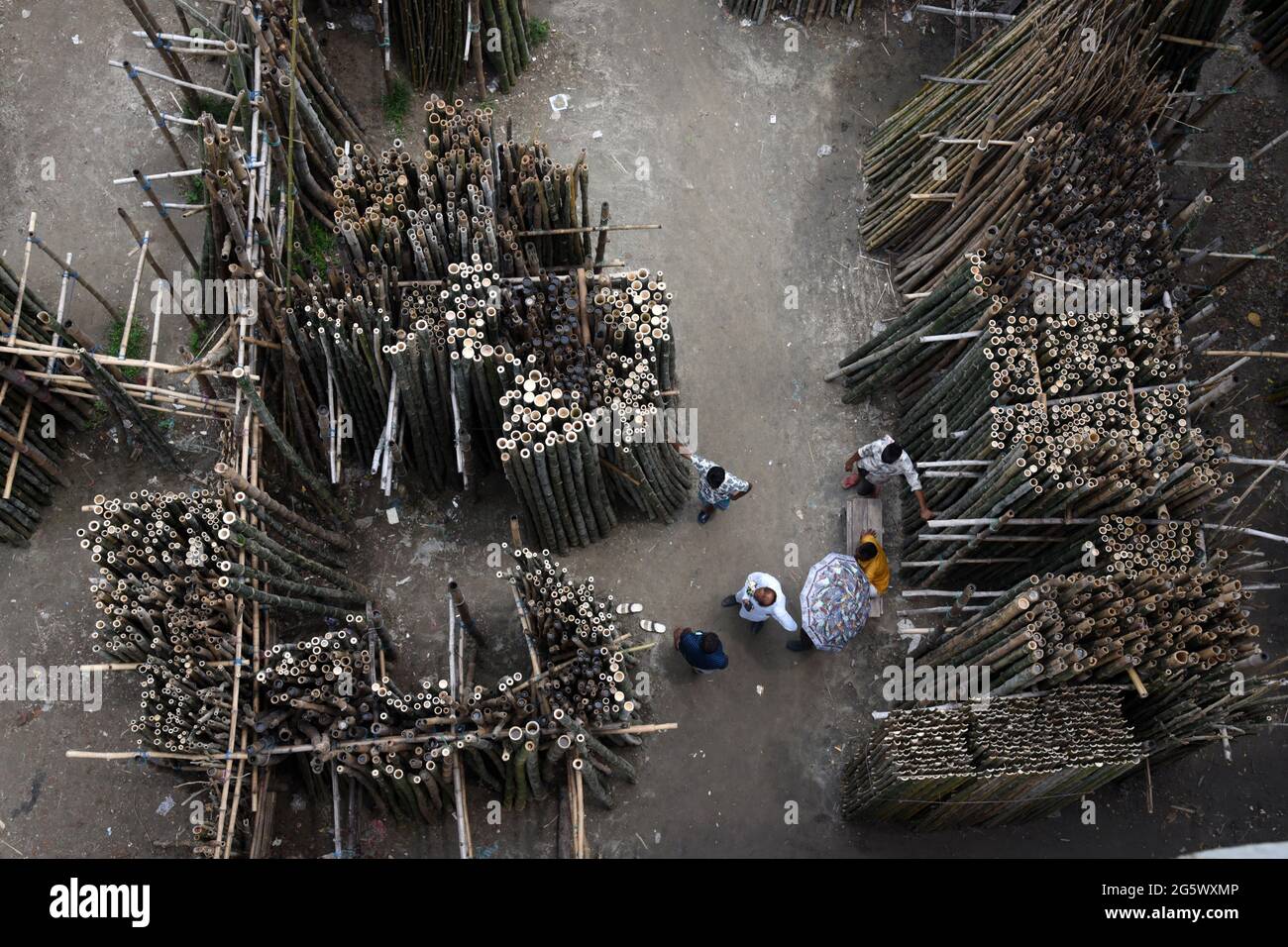 Bamboo sticks are seen on a Bamboo market in Bangladesh, on 30 June ...