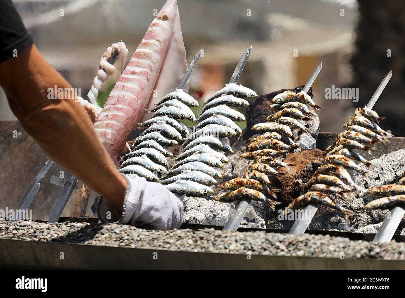 squid in man's hand, fish spit on fire, beach background Stock Photo ...