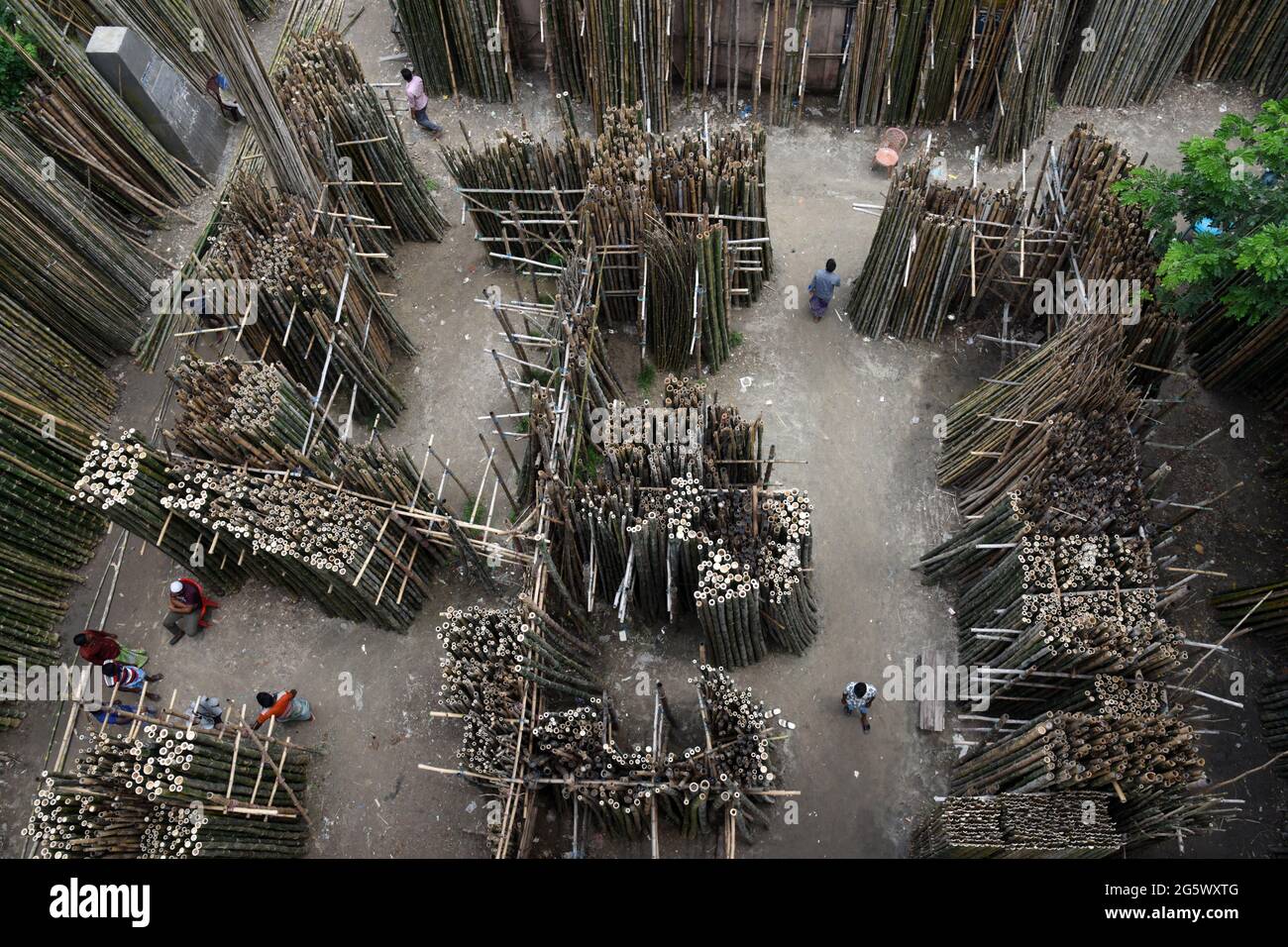 Bamboo sticks are seen on a Bamboo market in Bangladesh, on 30 June ...