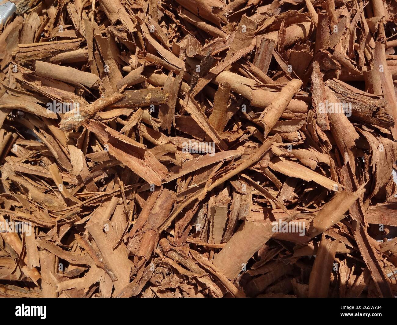 Cinnamon on a market in Sri Lanka Stock Photo - Alamy
