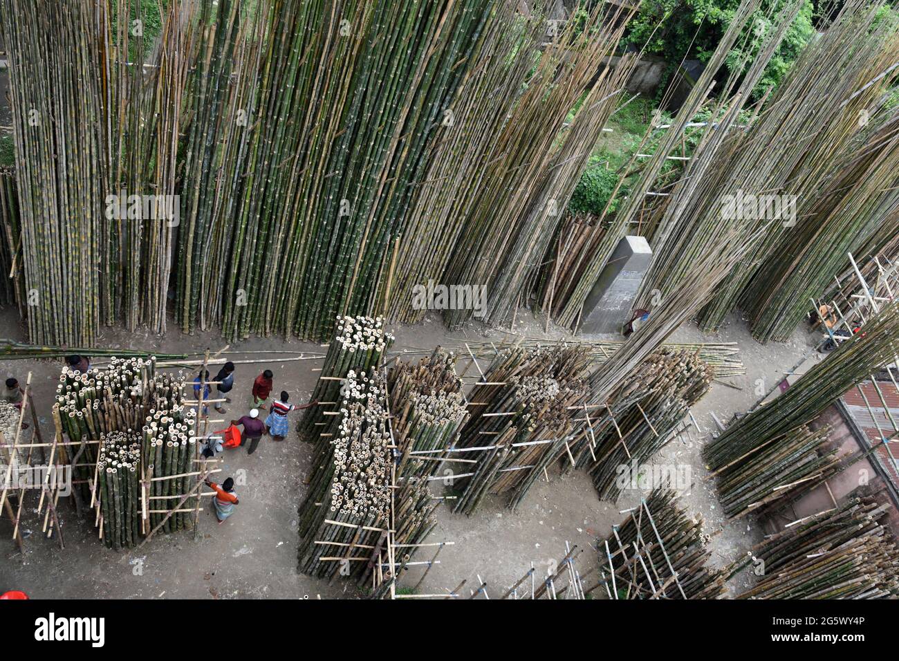 Bamboo sticks are seen on a Bamboo market in Bangladesh, on 30 June ...