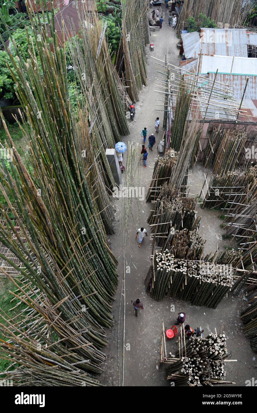 Bamboo sticks are seen on a Bamboo market in Bangladesh, on 30 June ...