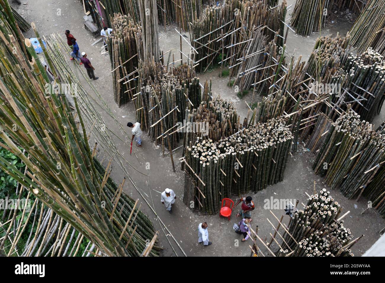Bamboo sticks are seen on a Bamboo market in Bangladesh, on 30 June ...