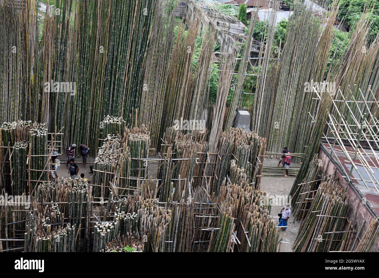 Bamboo sticks are seen on a Bamboo market in Bangladesh, on 30 June ...