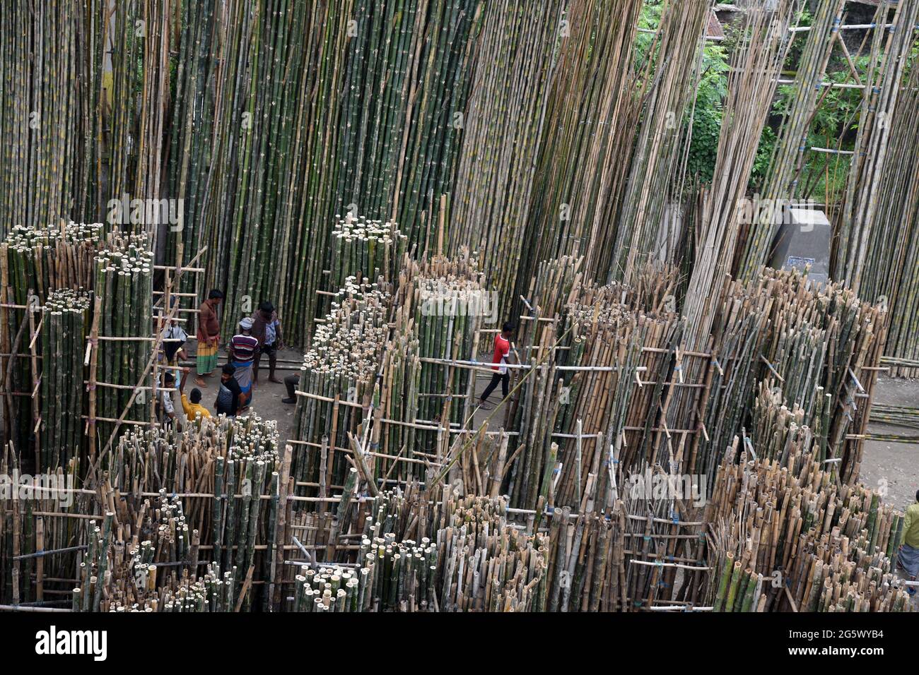 Bamboo sticks are seen on a Bamboo market in Bangladesh, on 30 June ...