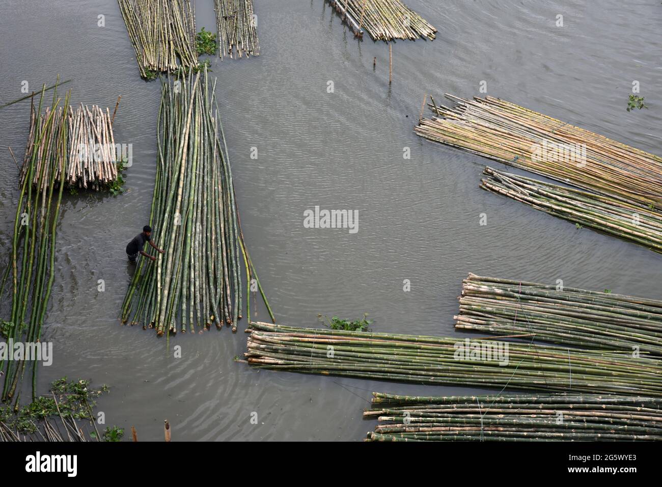 Bamboo sticks are seen on a Bamboo market in Bangladesh, on 30 June ...