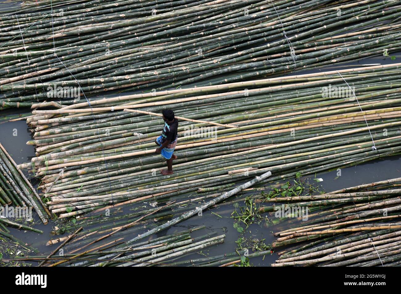 Bamboo sticks are seen on a Bamboo market in Bangladesh, on 30 June ...