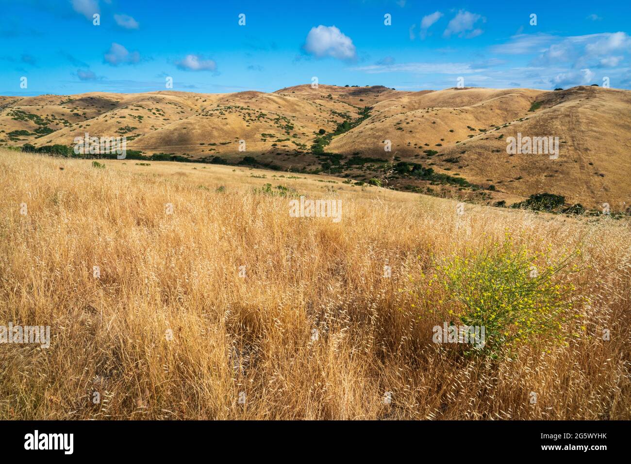 Fort Ord National Monument in California Stock Photo - Alamy