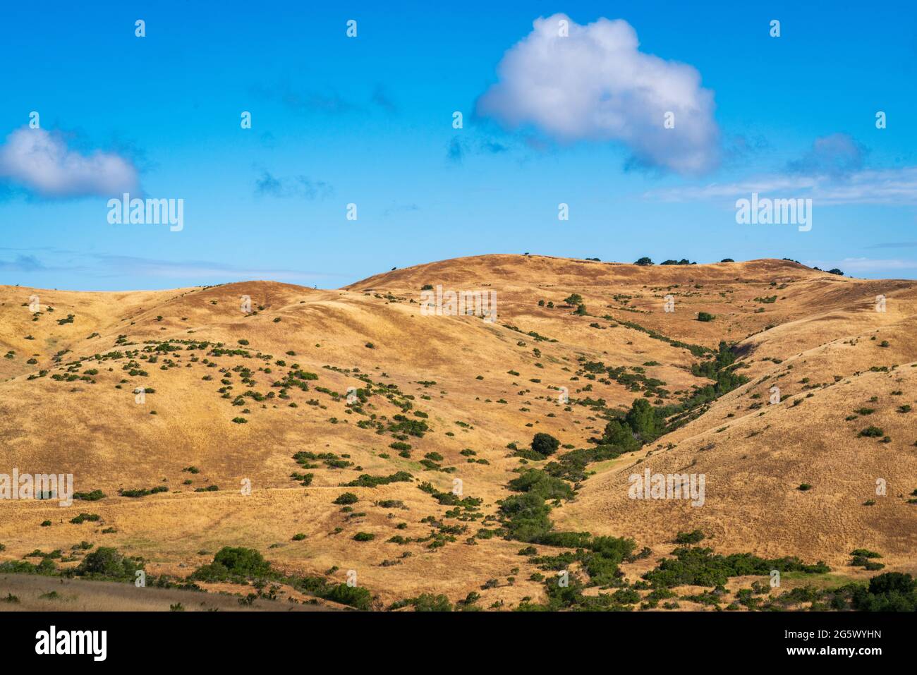Fort Ord National Monument in California Stock Photo - Alamy