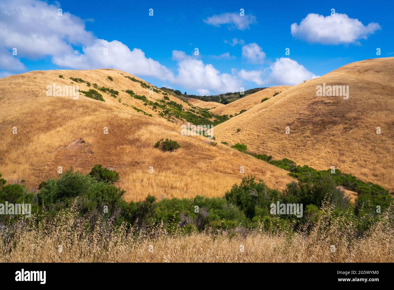 Fort Ord National Monument in California Stock Photo - Alamy