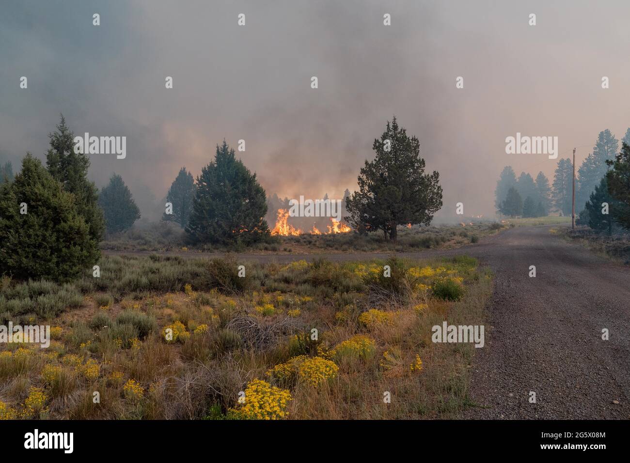 Weed, California, USA. 29th June, 2021. Flames burn in a field at the ...